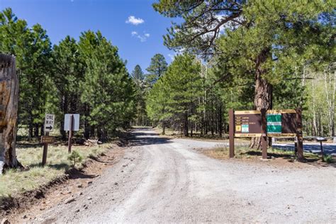 Coconino National Forest Lockett Meadow Campground Forest Service