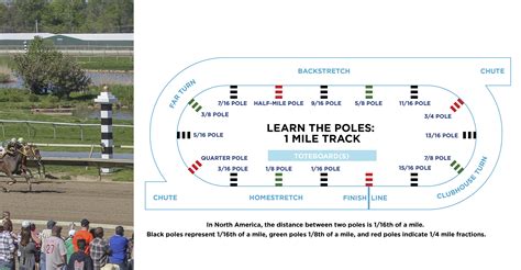 Horse Race Track Layout