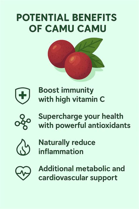 What Is Camu Camu A Guide To Its Benefits Vitamin C And Taste