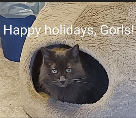 Bbj Is One Of Us Rfoodiebeauty