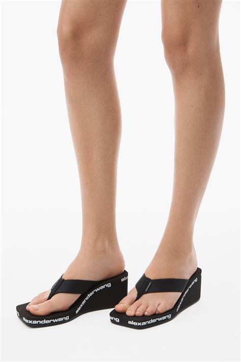 Alexanderwang Search