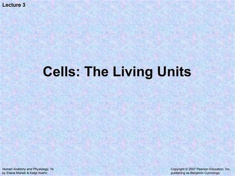 Lesson4 Cell Modifications Ppt