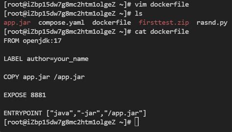 Docker制作自己的镜像