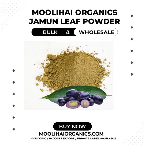 Jamun Leaf Powder Syzygium Cumini Bulk Wholesale Buy Herbs Bulk
