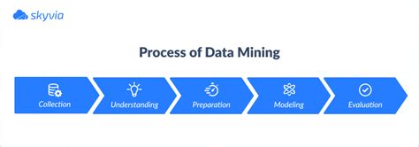 What Is Data Mining Data Mining Tools And Techniques