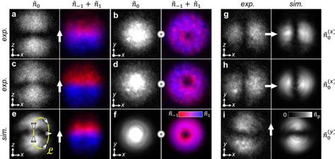 Observation Of An Alice Ring In A Bose Einstein Condensate Nature