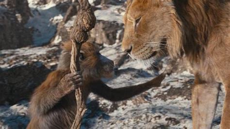 Stills Mufasa The Lion King