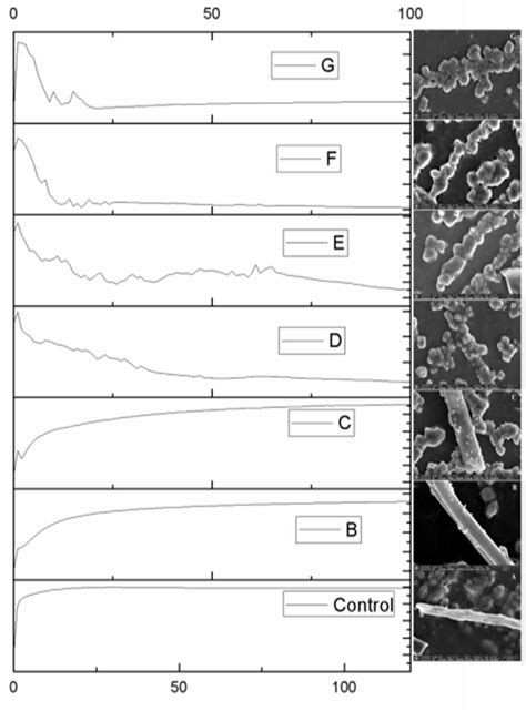 Structural Evaluation Of Collagen In Solution In The Presence Of Lipid