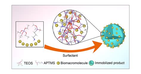 Aqueous Based Silica Nanoparticles As Carriers For Catalytically Active