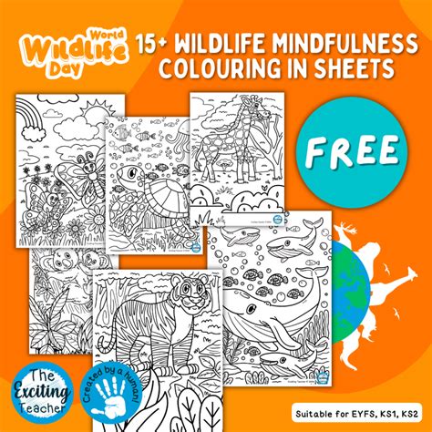 Free 15 Mindfulness Colouring In Sheets World Wildlife Day Resources