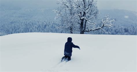 Hiker Walking In Deep Snow Outdoors In Stock Footage Sbv 348489813