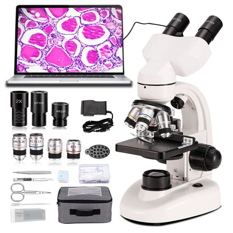 Compound Binocular Microscope Wf10x And Wf25x Eyepieces40x 2000x Magnification