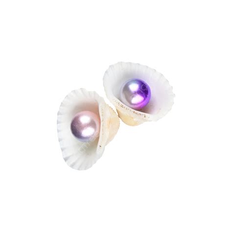 Natural Marine Life Shell Shiny Pearl Sphere Shiny Shell Png