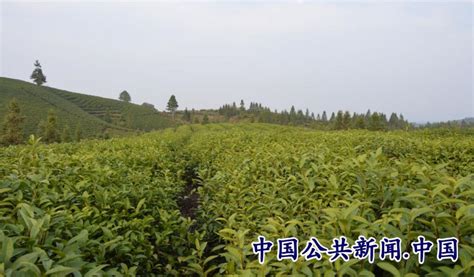 黎平县蒙村村：打造“红色美丽村庄” 中国健康医疗网 中国