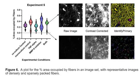 Customizing A Model For Fiber Segmentation Part 4 Analyzing The