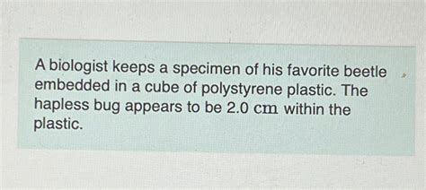 A Biologist Keeps A Specimen Of His Favorite Beetle