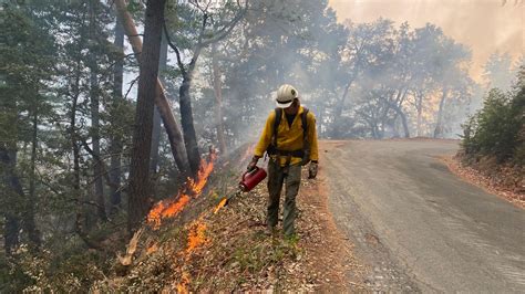 Us Forest Service Expects Future Challenges In Recruiting Wildland Fire