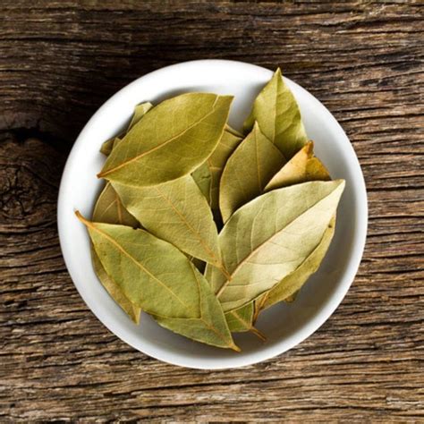 Bay Leaves Spiceorg India