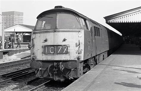The Transport Library British Rail Diesel Loco Class 52 Western 1051