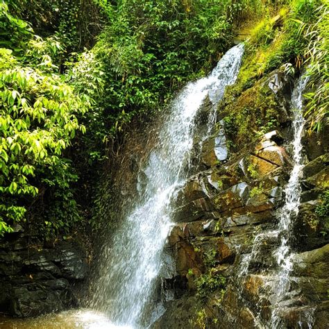 Tamilnadu Tourism Devala Waterfalls Gudalur Nilgiris