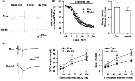 Enhanced Nmda Receptor Mediated Responses In The Anterior Cingulate Download Scientific Diagram