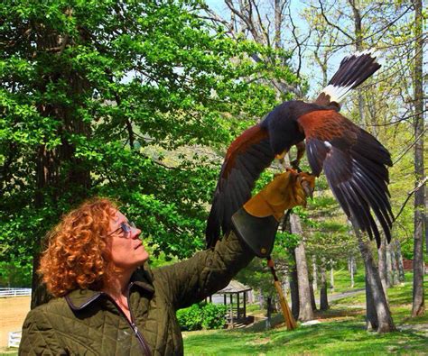 Uk Kate Rowinski Books Biography Latest Update