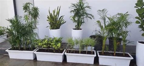 24 To 39 Top Dia Inch Natural Rectangular Flower Pot Packaging Type Standard Size 08 To 11