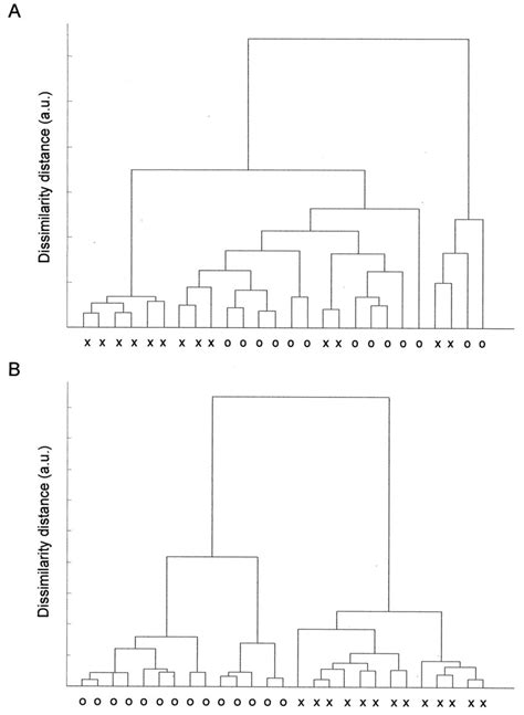 Dendrogram From Hierarchical Clustering Analysis Of Ft Ir Spectra Of