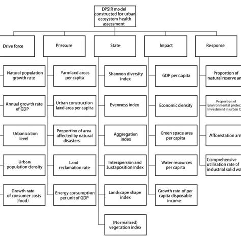 Diagram Of The Driving Force Pressure State Impact Response Dpsir Download Scientific Diagram