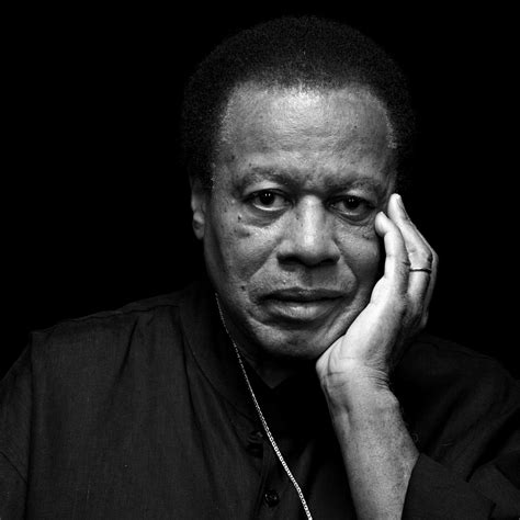 Alexander Leffs Instagram Twitter And Facebook On Idcrawl