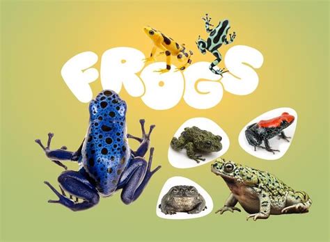 Aquarium Of The Pacific Debuts New Exhibit With More Than 20 Species Of