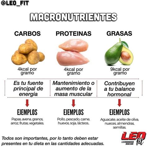 Nutricion Ejercicio Salud On Instagram 💥tu GuÍa De Macronutrientes💥 Por Leo Fit Aquí Te