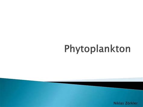 Ppt Phytoplankton Powerpoint Presentation Free Download Id3792294