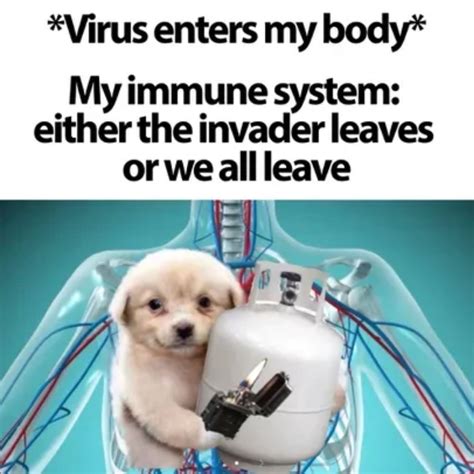 Immune System Meme