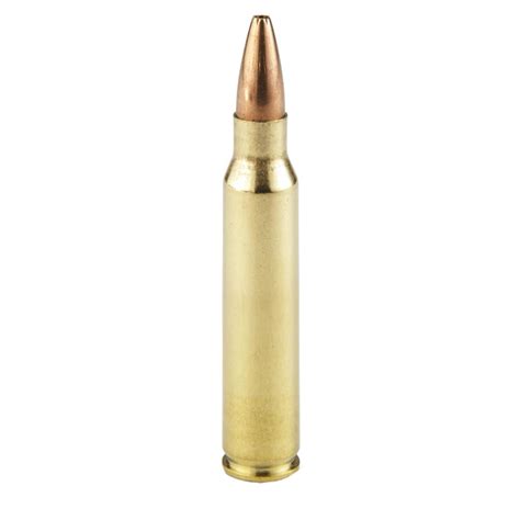 Calibre Confusion The Delta Mike Ammunition Guide — Delta Mike Ltd