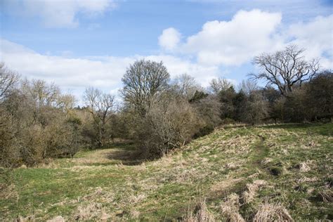 Open Grassed Area In Woods © Trevor Littlewood Geograph Britain And Ireland