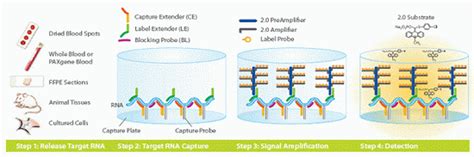 取代real Time Pcr的基因定量技术 新品推荐 生物通