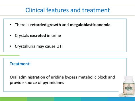 Primidine Metabolismpptx