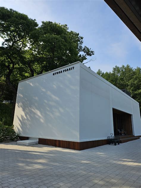 평창 휘게 포레스트에서 만난 Lg스텐바이미go 체험기 Jammy