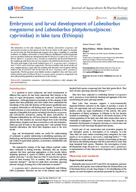 Pdf Embryonic And Larval Development Of Labeobarbus Megastoma And