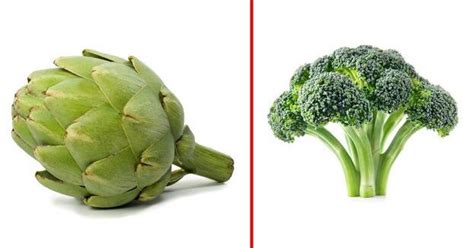 Only 30 Of People Can Correctly Identify All Of These Vegetables Tim