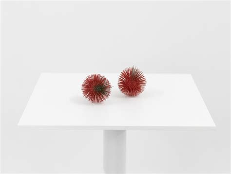 福原 舞弥 《あいまいなものたち》 多摩美術大学