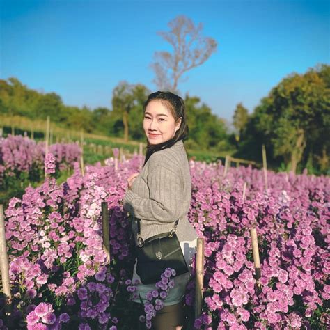 💜 Perple And Violet 💜 ตามมา เดี๋ยวพาไป