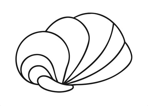 Seashell Outline Drawing Vector Art Icons And Graphics For Free Download