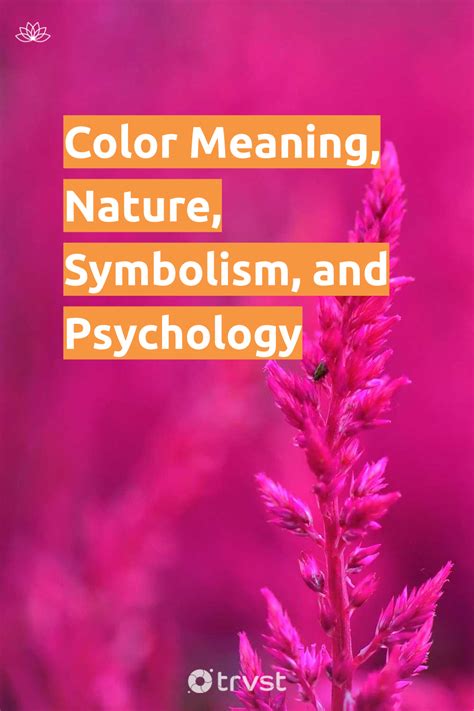 Color Meaning Nature Symbolism And Psychology Artofit