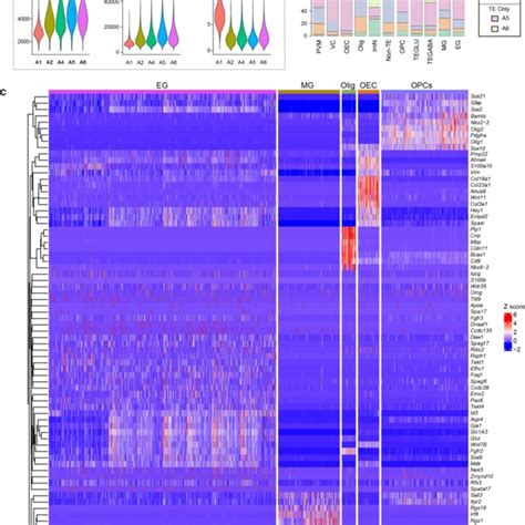 Fig S2 Quality Control Of The Adult Brain Single Cell Dataset And
