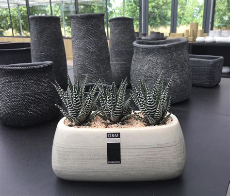 משתלת נווה ירק אנחנו מזמינים אתכם להתרשם מקולקציית 2017