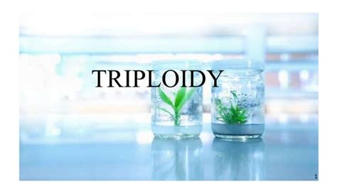 Triploidy Pptx