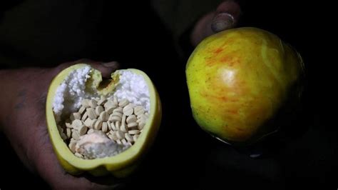 Syria What Will Happen To Al Assads Captagon Empire Now Nt News