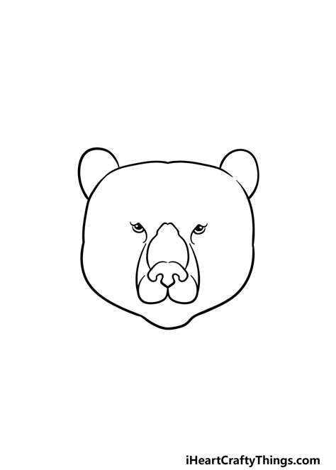 Bear Face Drawing
